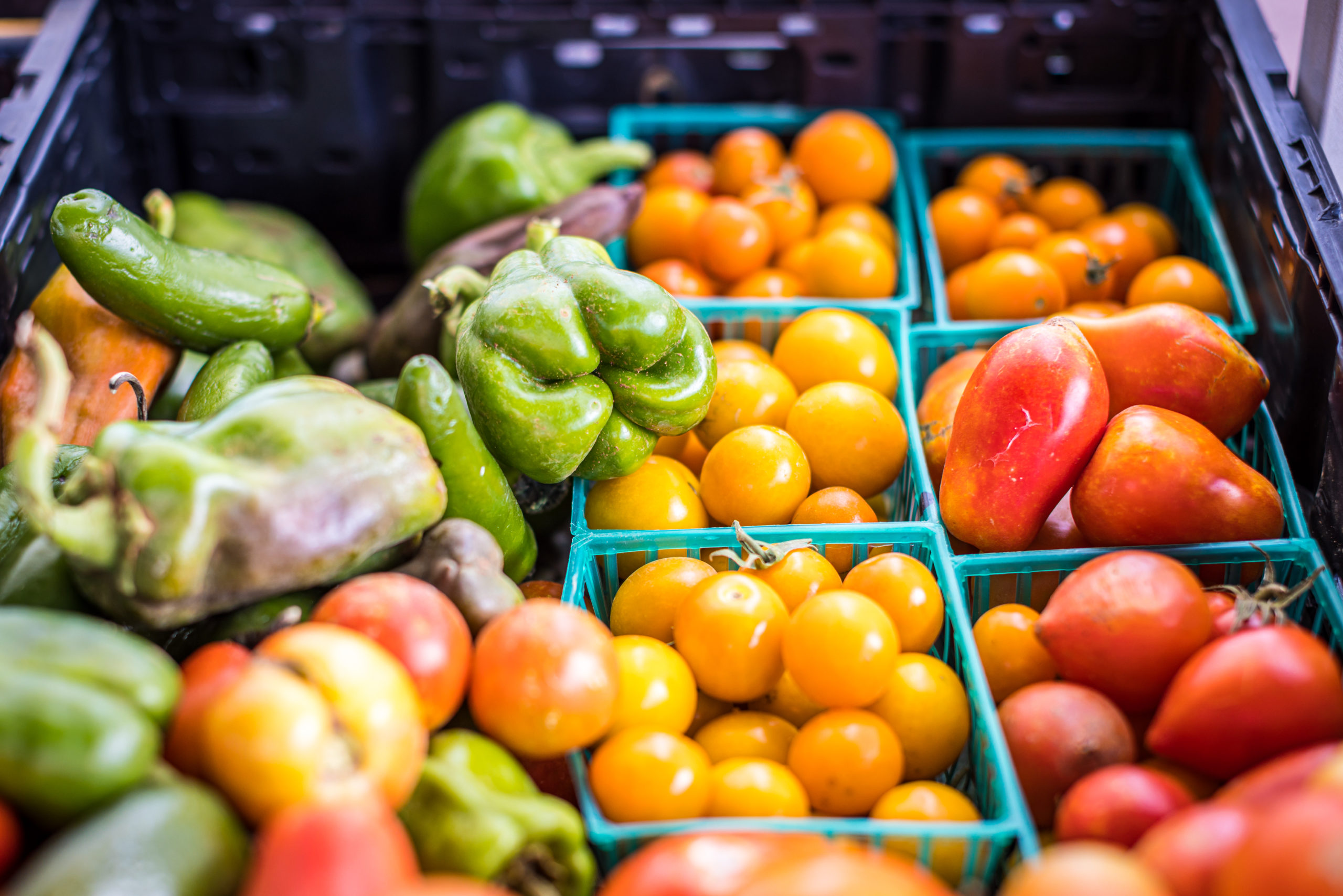 NATIONAL FARMERS MARKET WEEK 2022 / Heirloom Farmers Markets NATIONAL FARMERS MARKET WEEK 2022 / Heirloom Farmers Markets